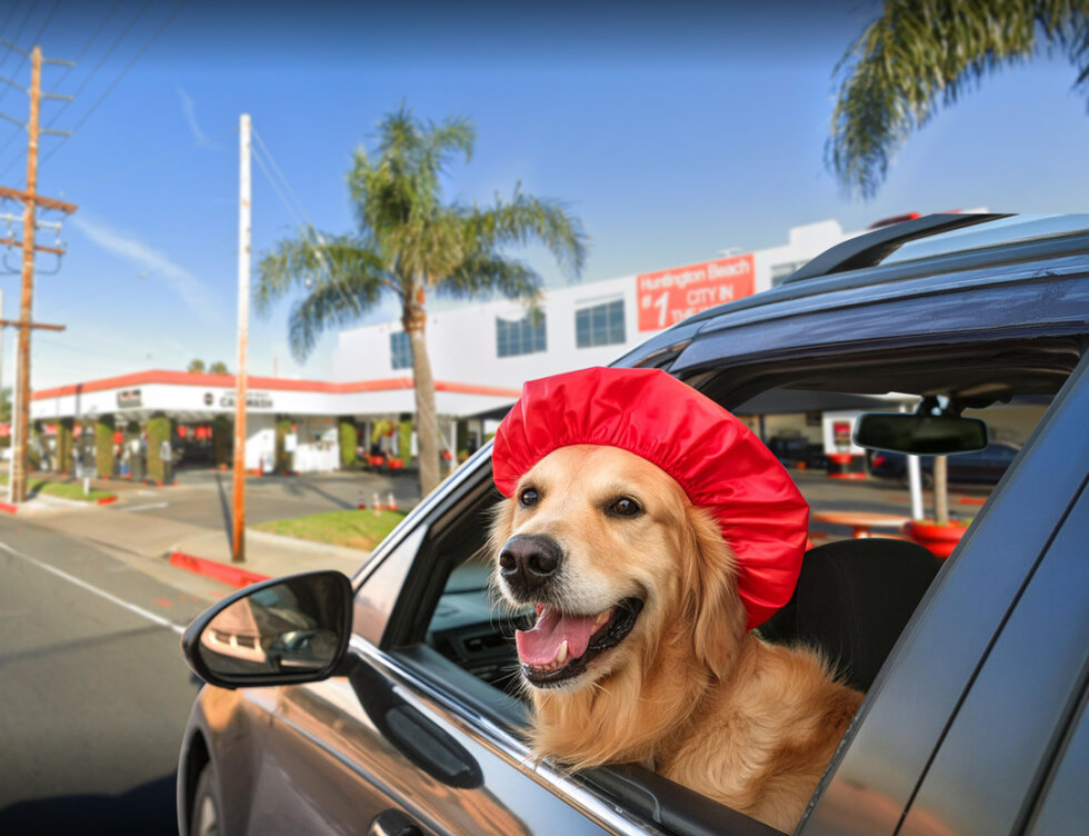 Dog Wash - Russell Fischer Car Care Center